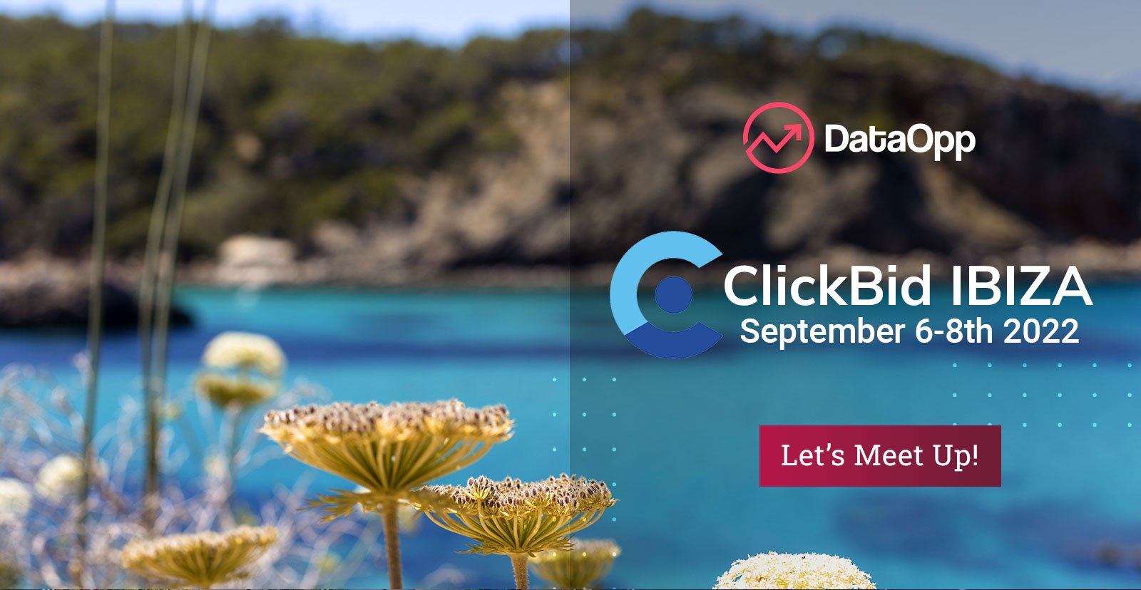 Dataopp – Digital Marketing Experts